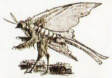 Mothra - Monsterverse